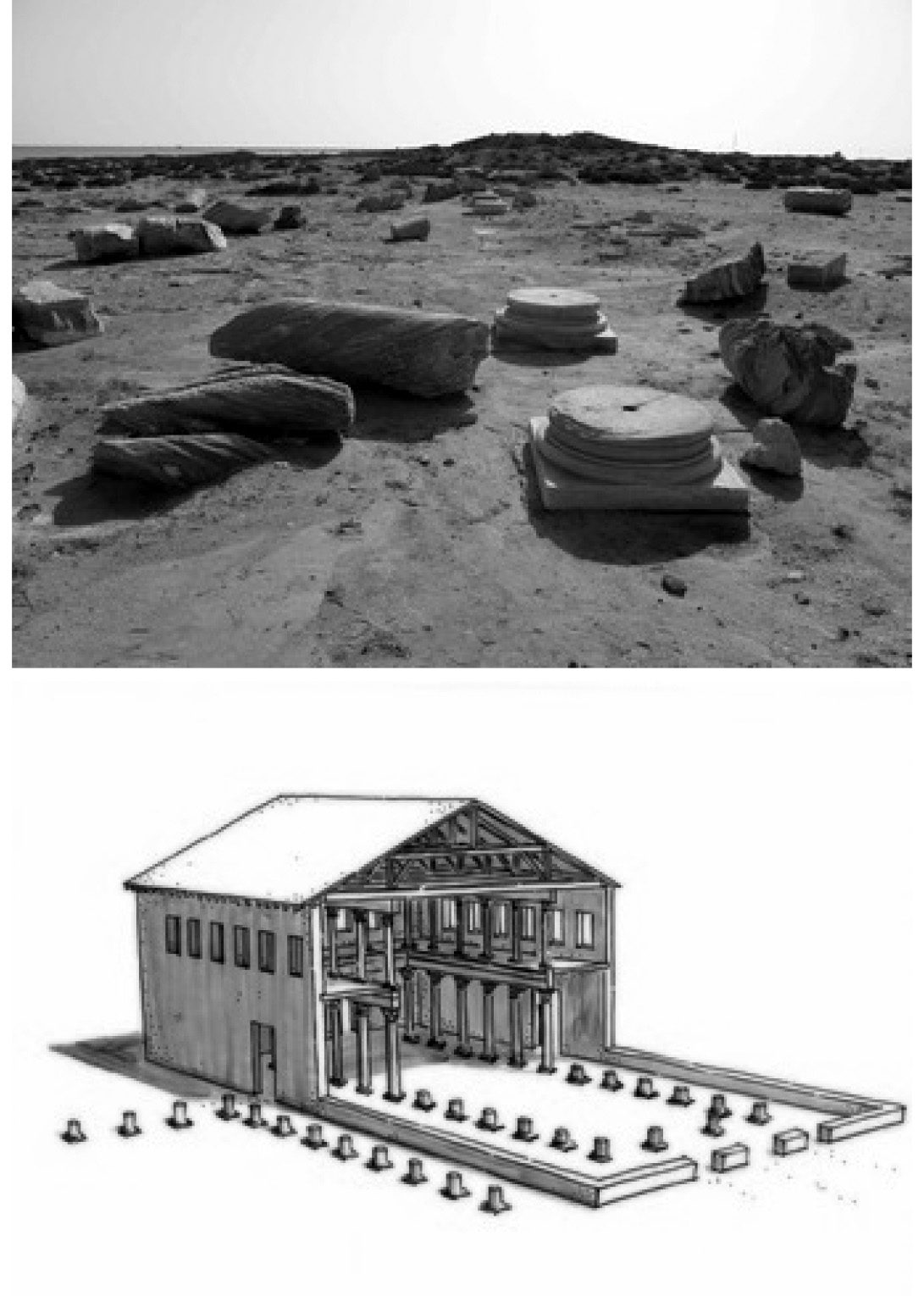 Le site archéologique de Méninx - INP المعهد الوطني للتراث